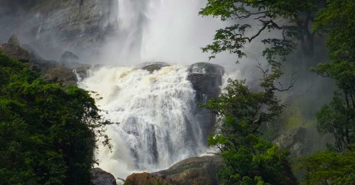 Diyavini Ella Falls - Lovidhu