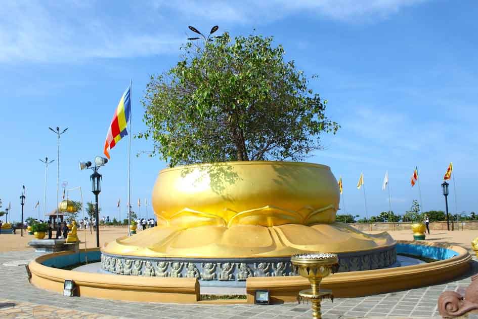 Nelligala International Buddhist Center - Lovidhu